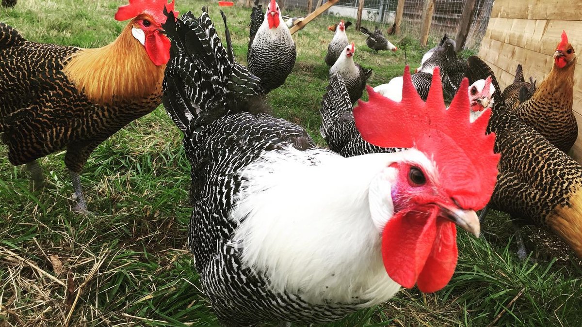 6 nieuwe borgingspraktijken op het Register van Inspirerende ...